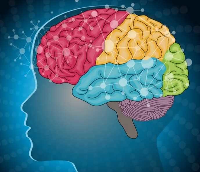 IQ тест "Зарядка для ума" - полноценная тренировка мышления. Dropi ...
